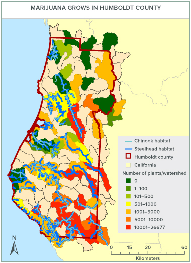 Mapa De Marihuana De California