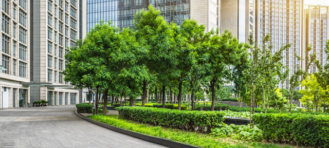 Park And Modern Buildings In City - Public Policy Institute of California