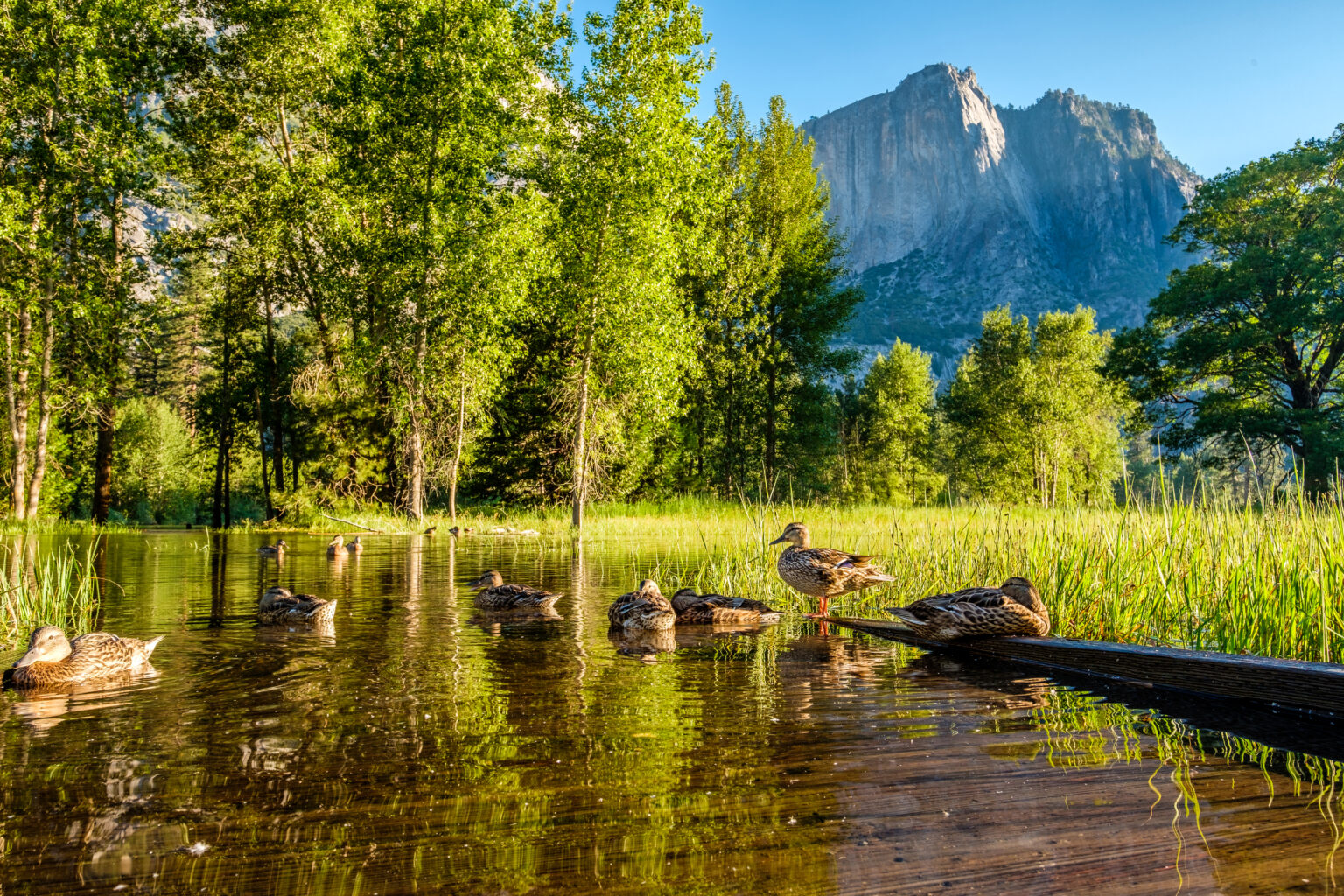 Priorities for California's Water - Public Policy Institute of California